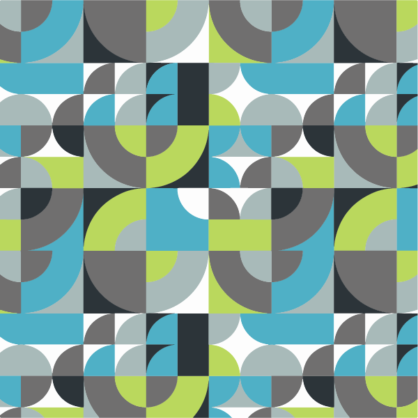 Home - CCVS International